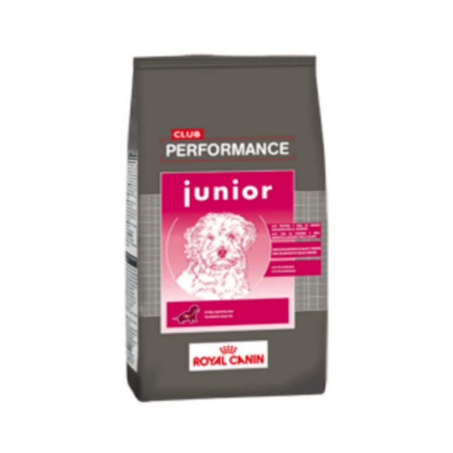 ROYAL CANIN PERFORMANCE JUNIOR 15 KG – Animalia
