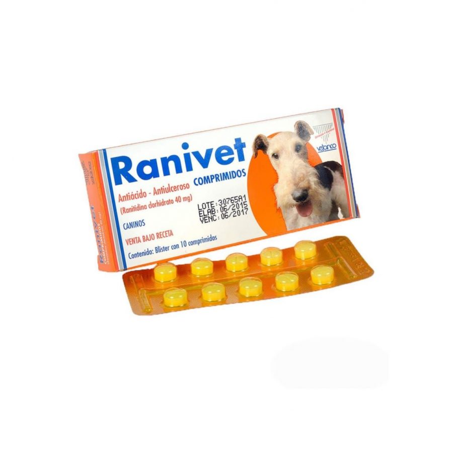 RANIVET – Animalia