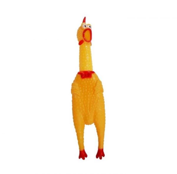 POLLO PARLANTE – Animalia