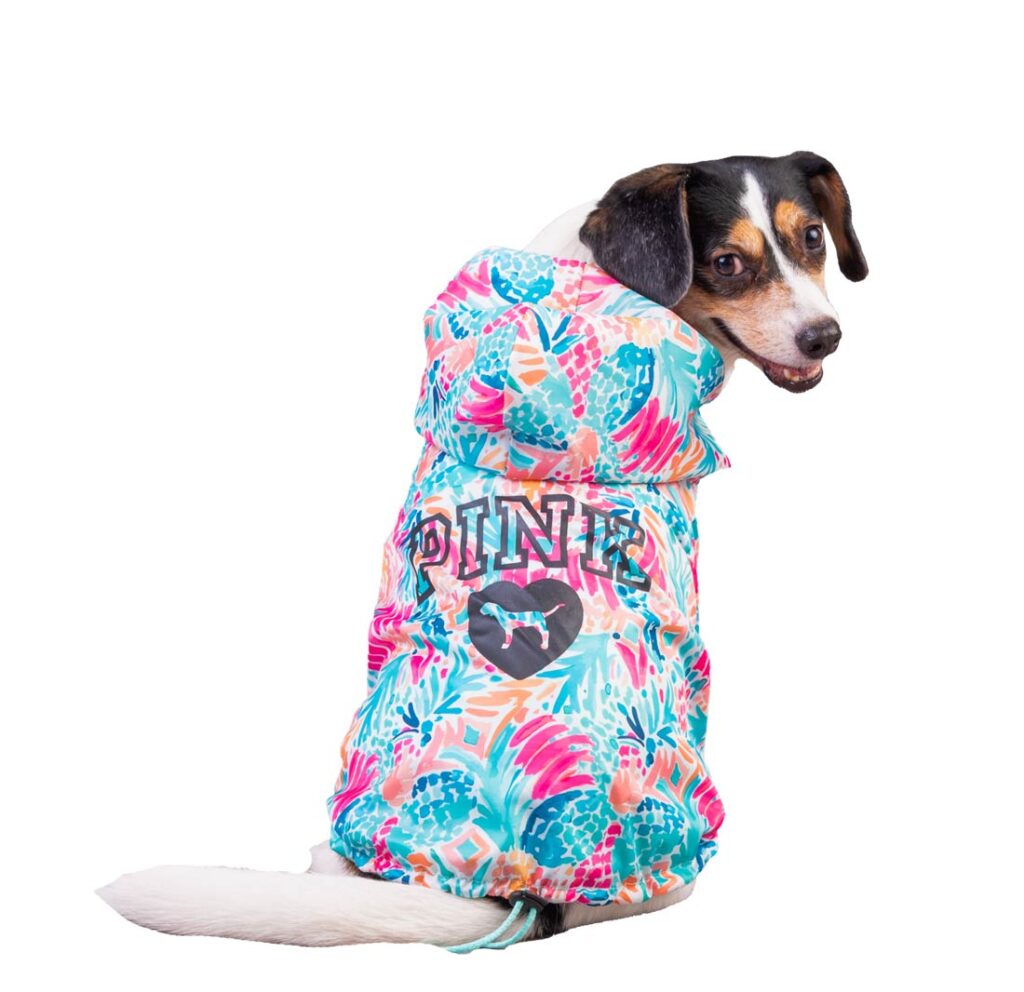 PILOTO PINK – Animalia