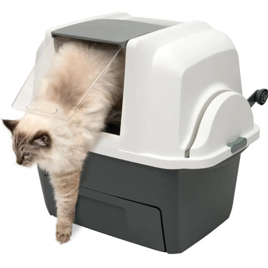 LITERA CAT IT DESIGN SIFTING AUTOLIMPIANTE – Animalia